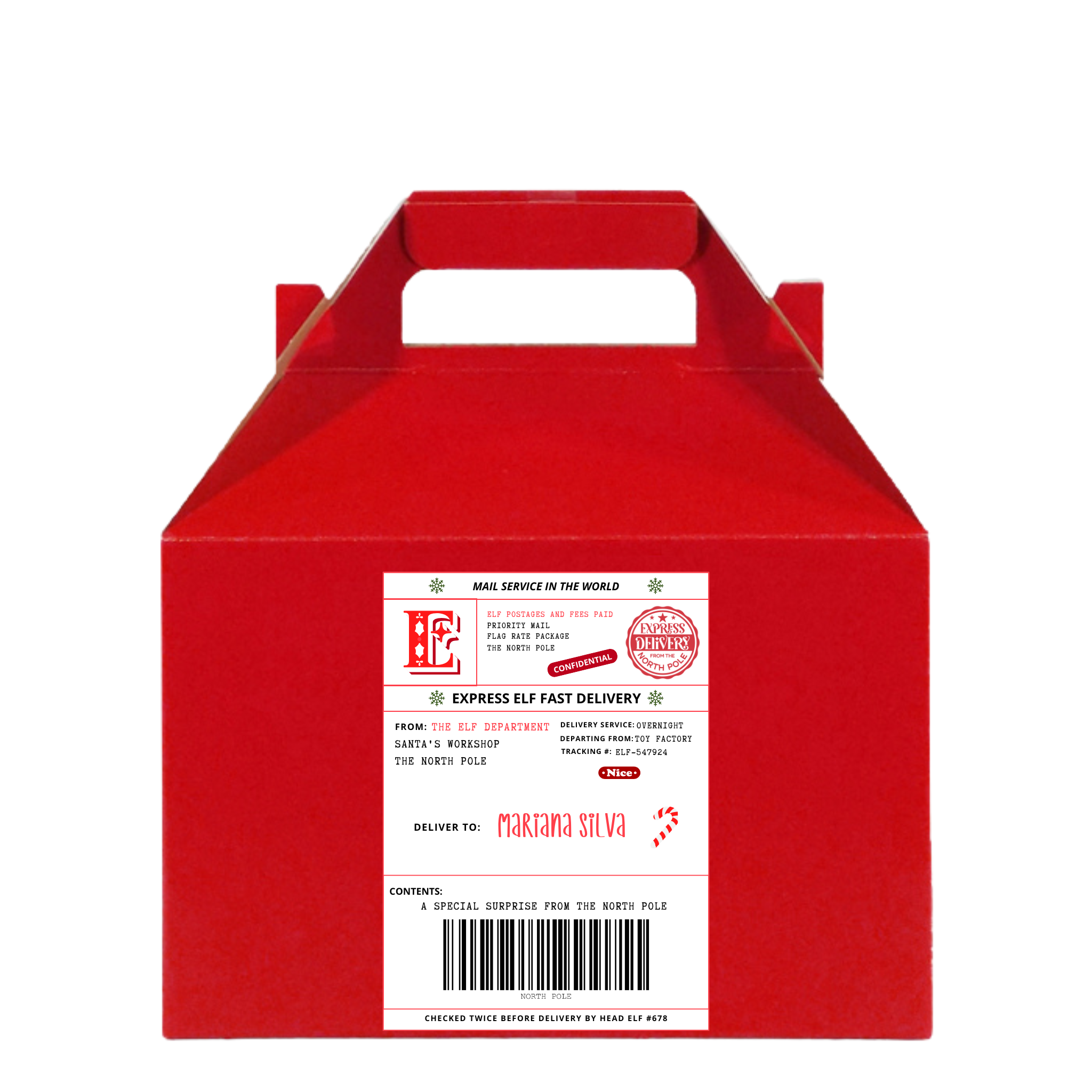 Elf Arrival Postal Box – Just Baskits and Balloon Decor